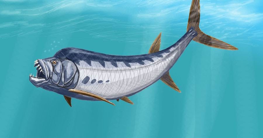 d20 Despot: Monster Monday: Xiphactinus, Prehistoric Monster Fish