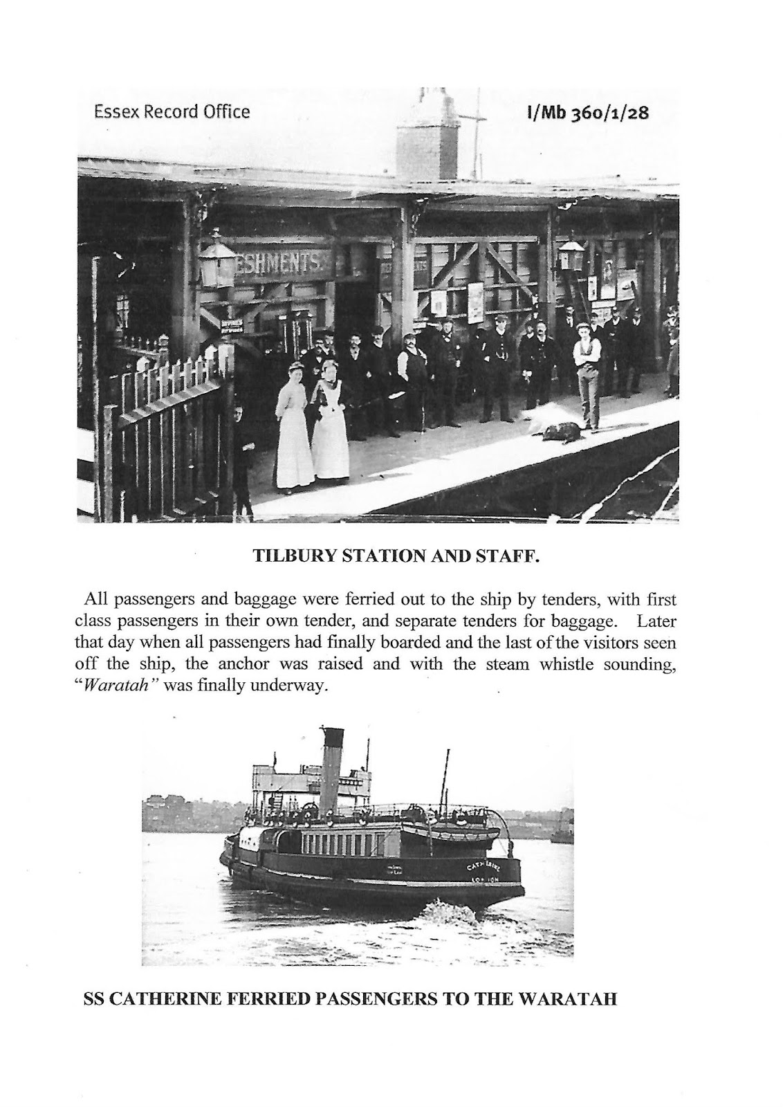 ss Waratah, A Professional Analysis : March 2019