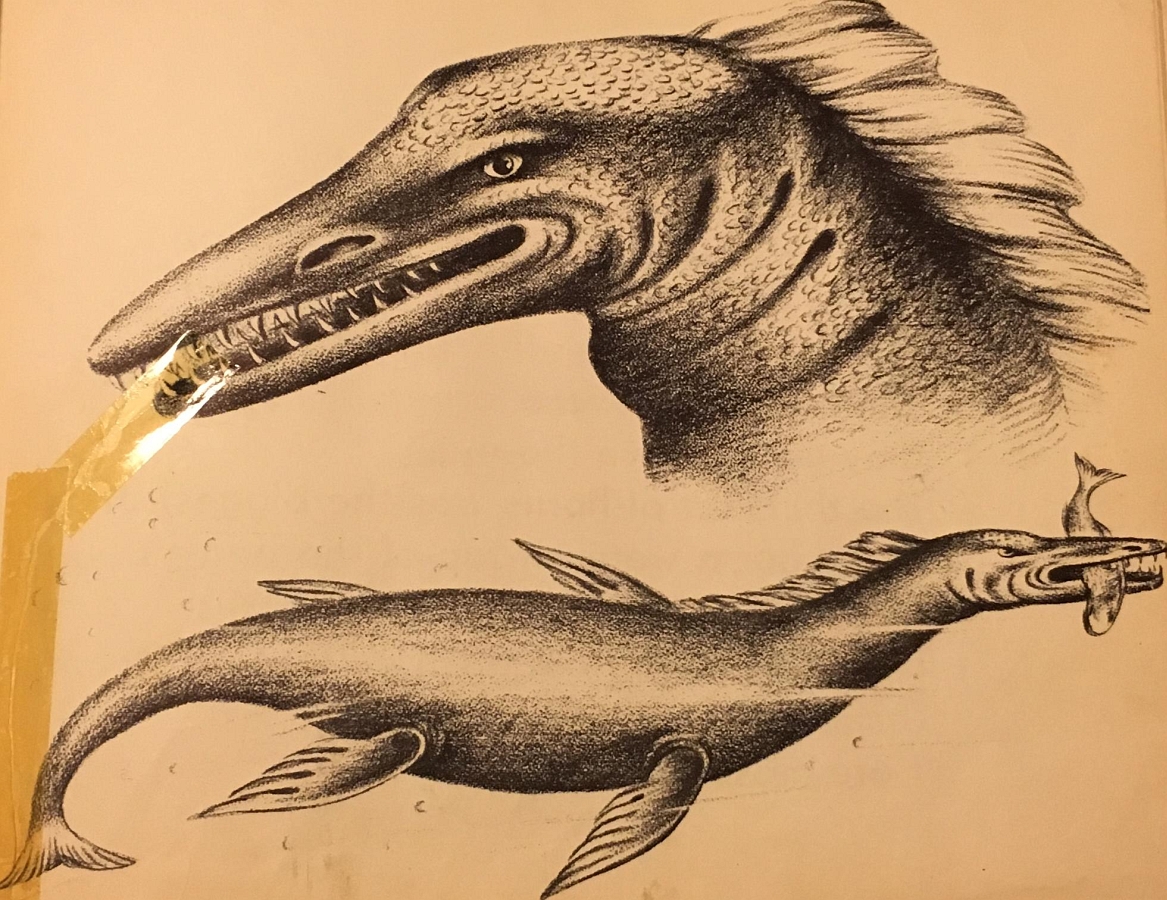 Love in the Time of Chasmosaurs: Vintage Dinosaur Art: Book of Big Beasts