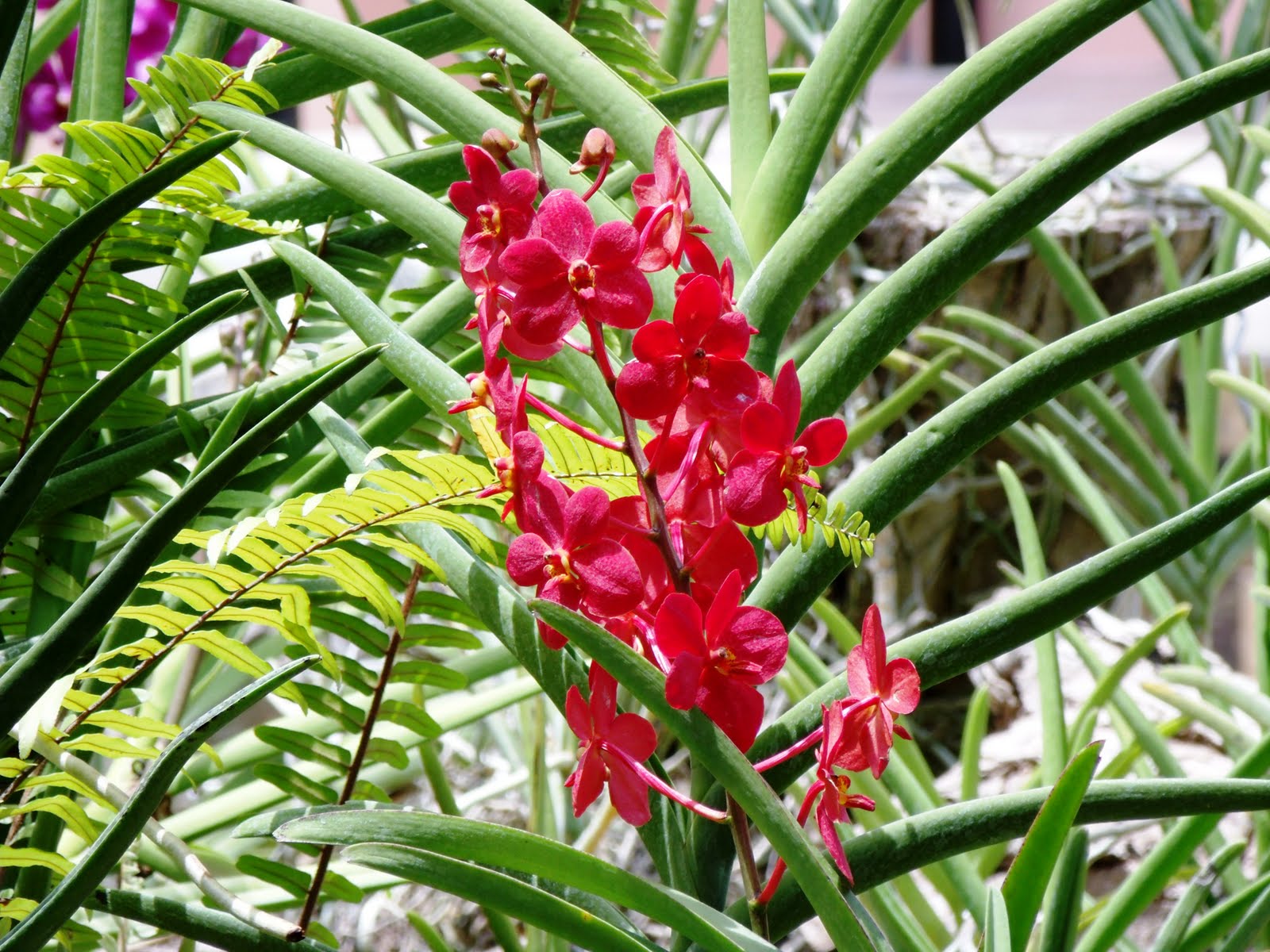 Traveling Morion | Travel + Photography: Morion's PhotoGallery 101 ...