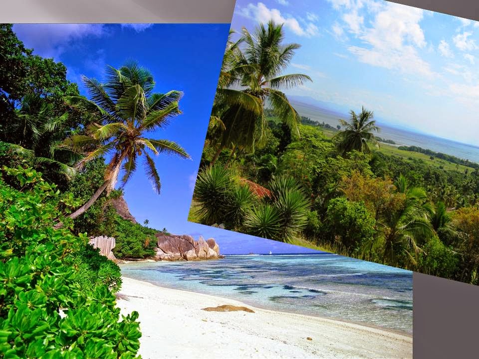 Karibianmeren saaret: Ilmasto