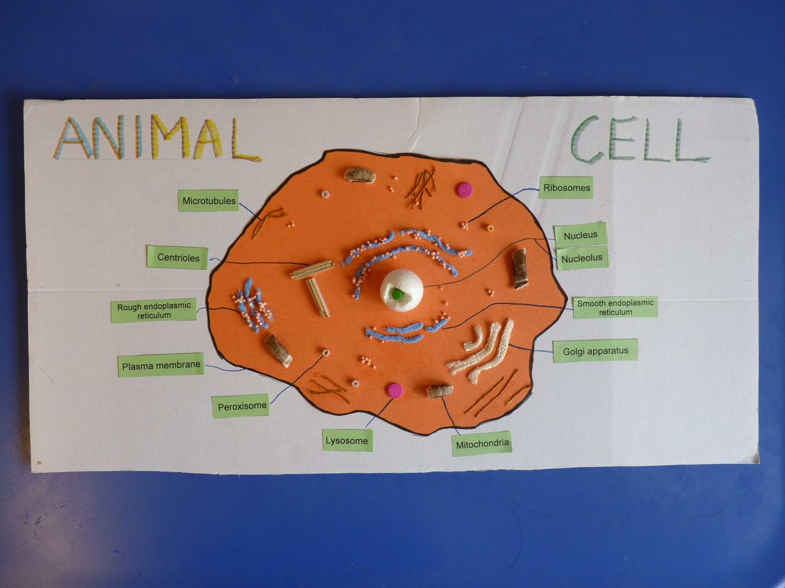 My Newsroom: Biology: How a cell is build