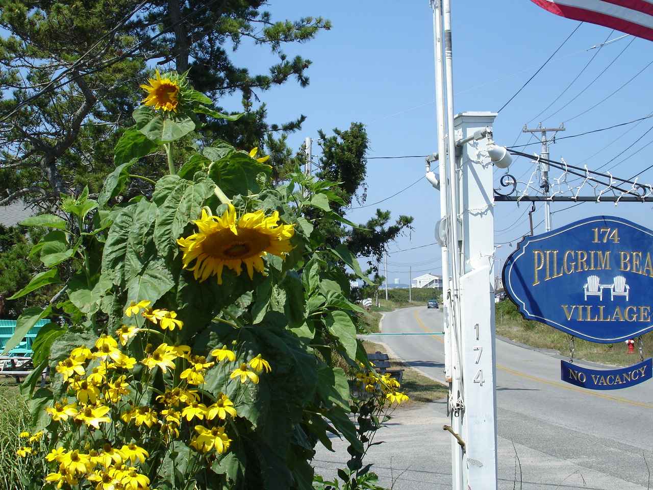J and B and Lady Blue: Cape Cod National Seashore