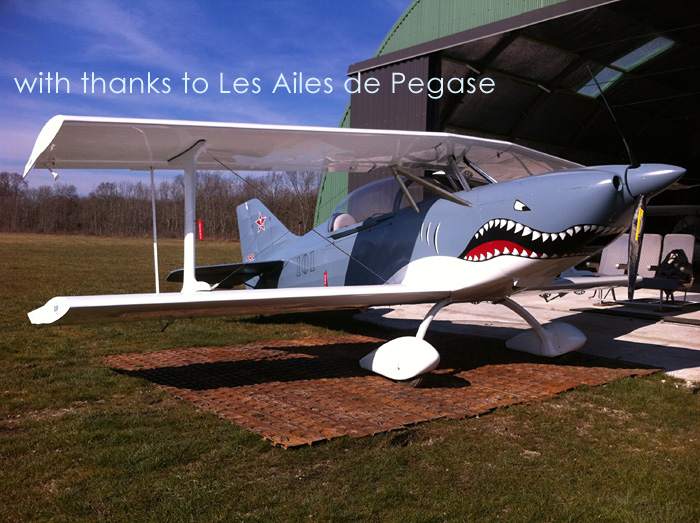 FK12 Comet biplane: Comet #100 - Something Special