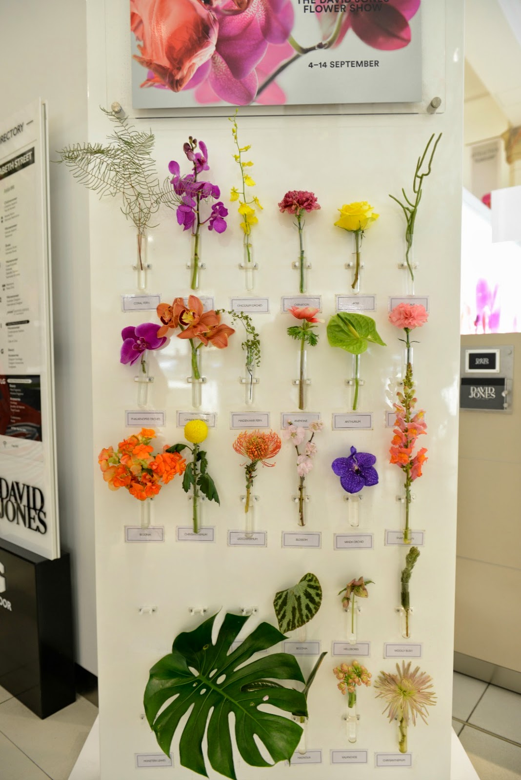 Urban Flower: David Jones Flower Show 2014 in the Sydney CBD