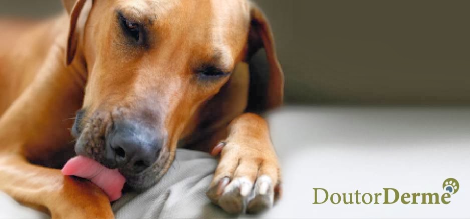 DoutorDerme: Dermatite Atópica Canina