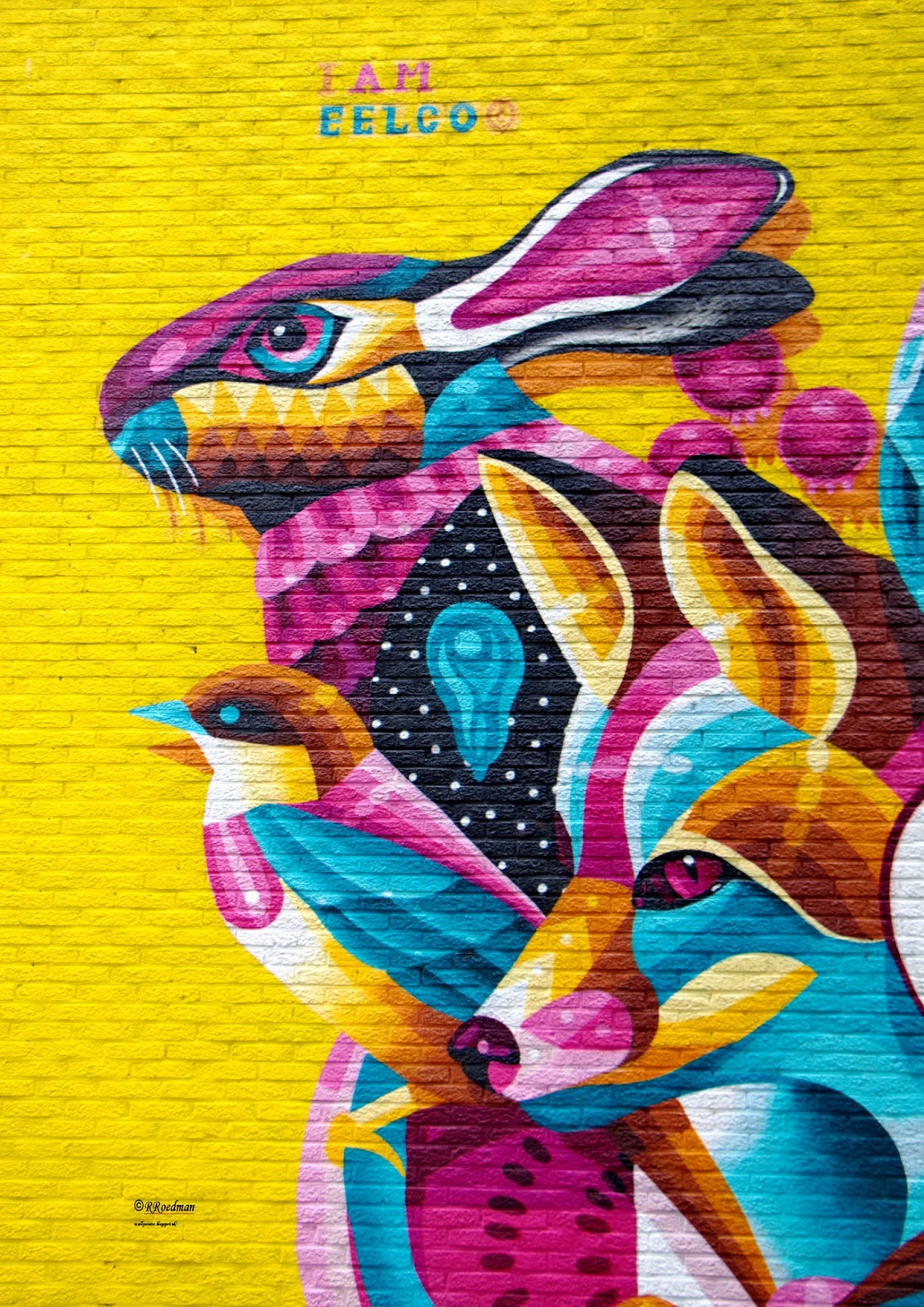 Street Art: Ede - Netherlands