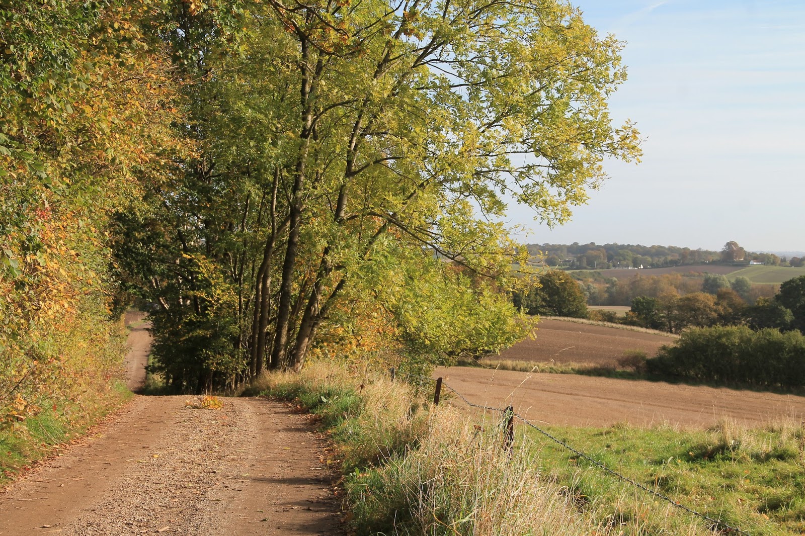 Vandringsløse Tidende: Bidstrup Skovene Nord