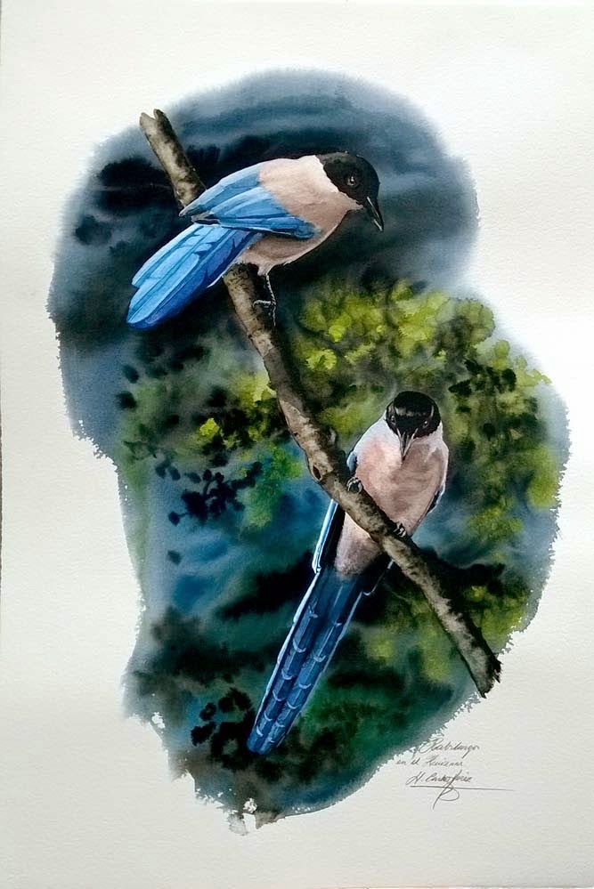 Acuarelas de M. Carlos Pérez