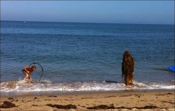 Embarrassing photos on the beach ~ Cenas por ai - o blog de tudo o que ...