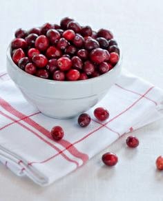 LIVING LIFE IN COSTA RICA blog: CRANBERRIES - Where can you find ...