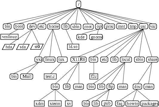 CLASE DE LINUX: ÁRBOL DE DIRECTORIOS