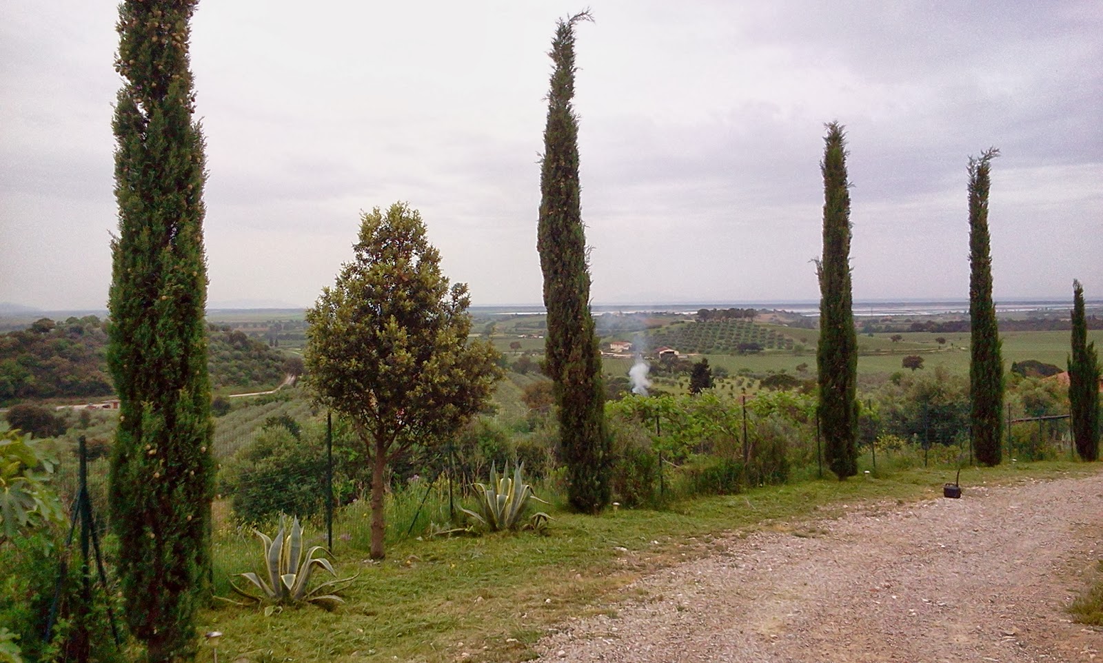ALLEVAMENTO LAGO PRILE: LA BELLEZZA DELLA MAREMMA