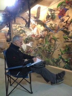 The Taranaki Sketchers: MANUTAHI MUSEUM