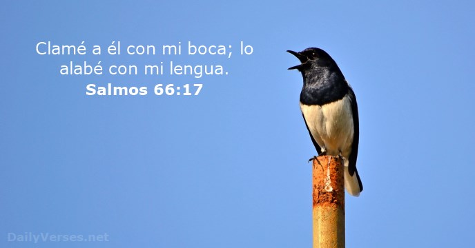 LOS CINCO PROPÓSITOS ~ IGLESIA CRISTIANA DIOS VIVIENTE
