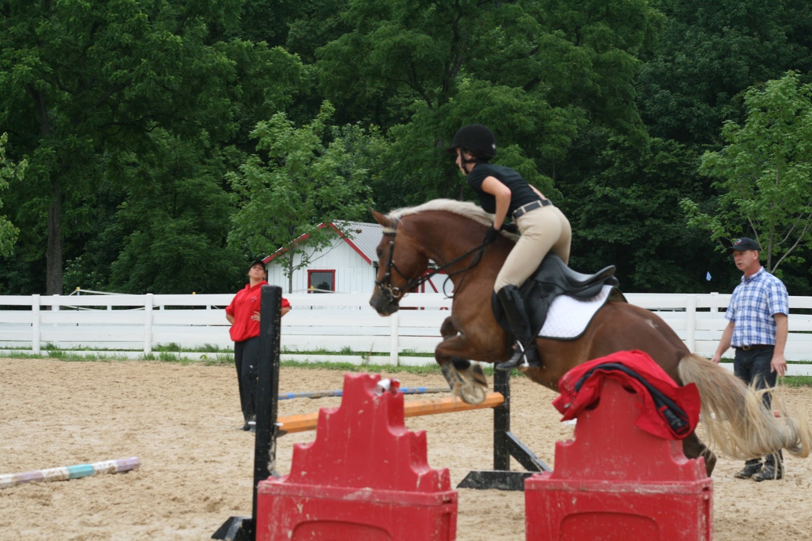 Cob Jockey: On Rotational Falls and Training the XC Horse