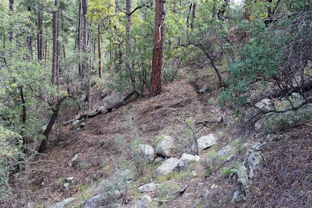 Simplicity Itself Photography: Autumn Images In Prescott