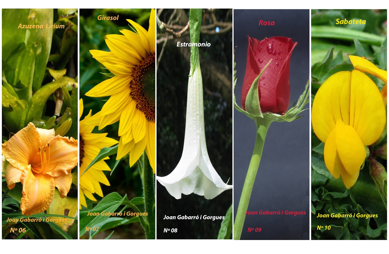 punts de llibre gabarro: de març 2014