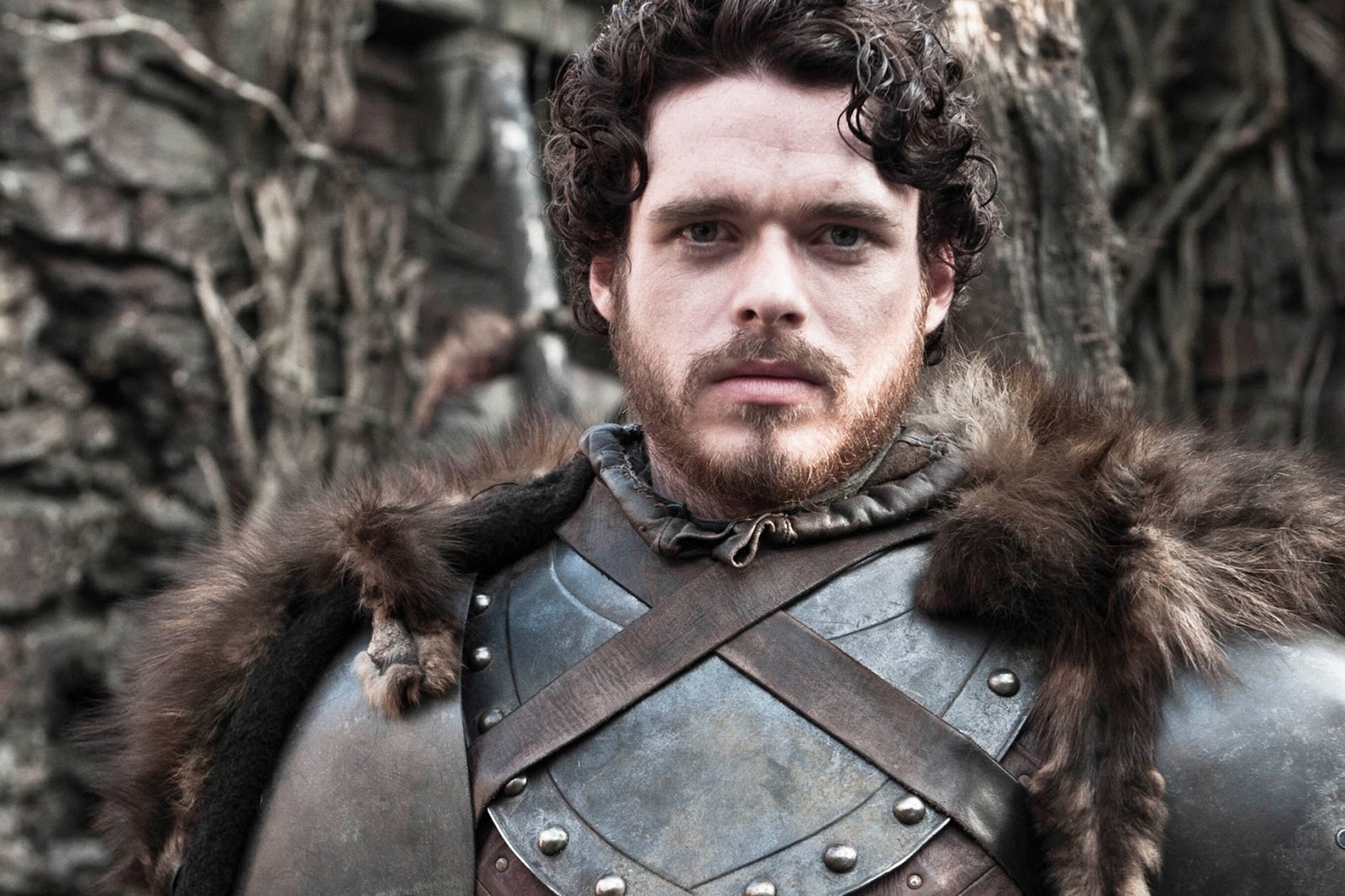 Fangirl: Robb Stark - Queria Estar Lendo