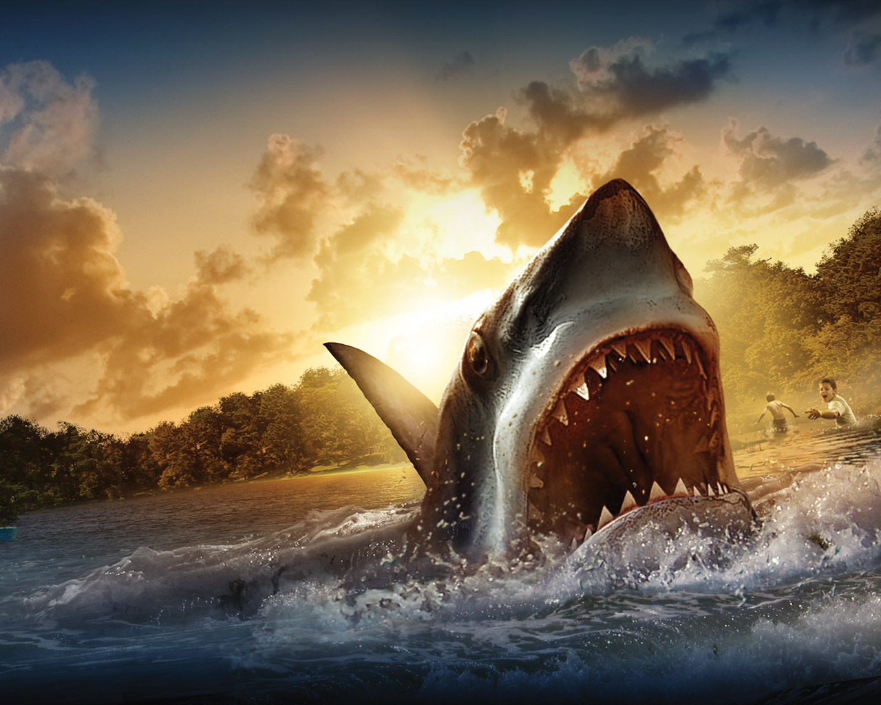 Beautiful Shark | Top Desktop No.1