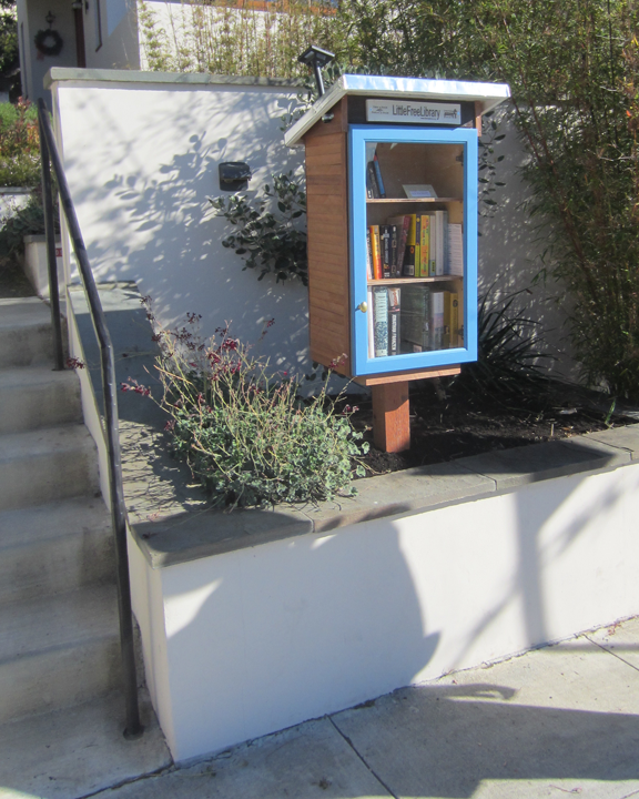 Little Free Library Night Light