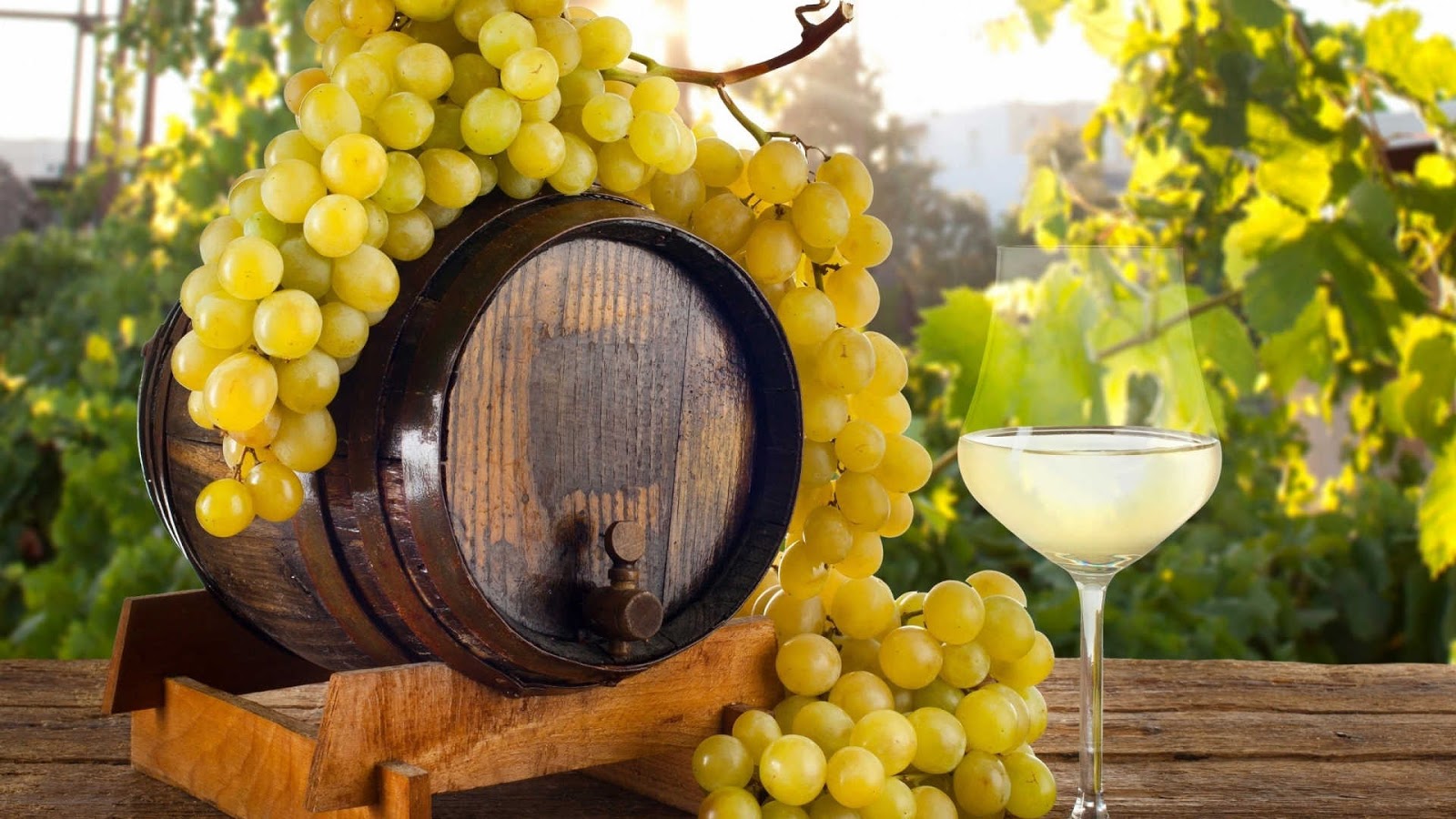 Nih 12 Wallpaper Buah Anggur - Bermanfaat Buah