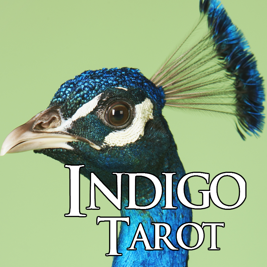 @PetraTarot: VIDEO: Indigo Tarot Psychic Tarot General Reading for LEO ...