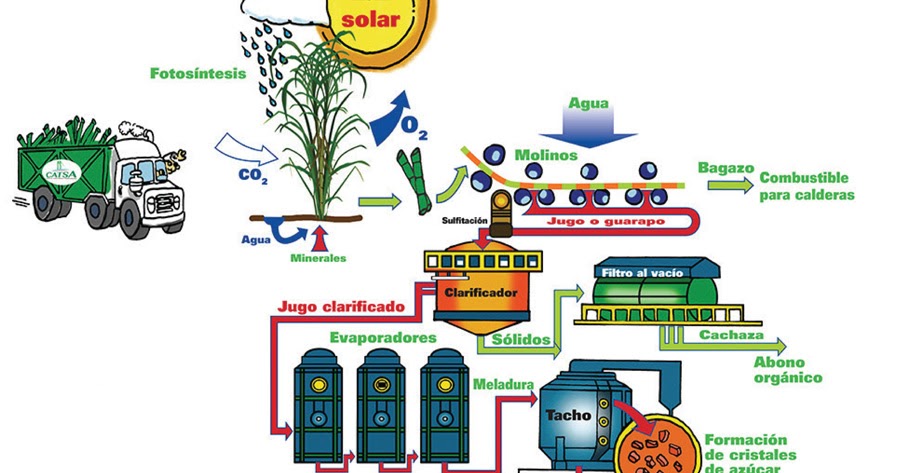 LA CAÑA DE AZUCAR: Proceso industrial