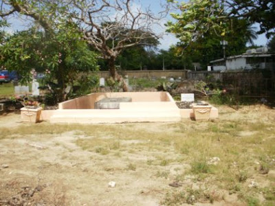 So Very Very Thankful: The Lady lies.....