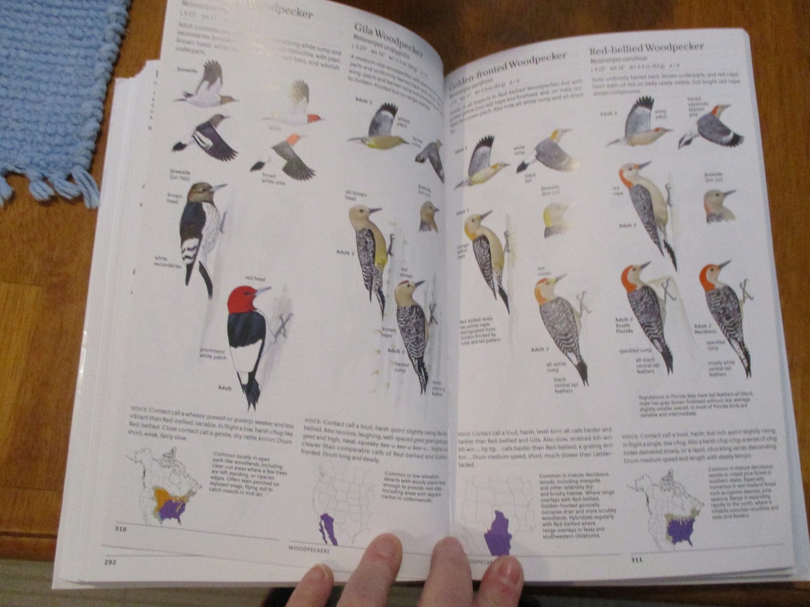 Missy's Product Reviews : The Sibley Guide to Birds, Second Edition By ...