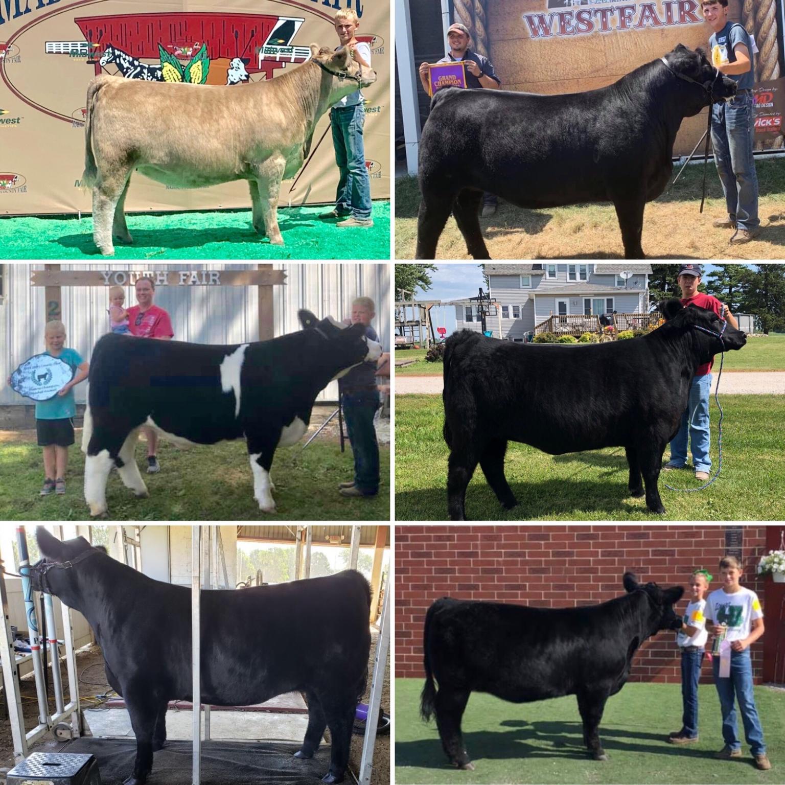 MITTAG Blog: More County fair Winners!