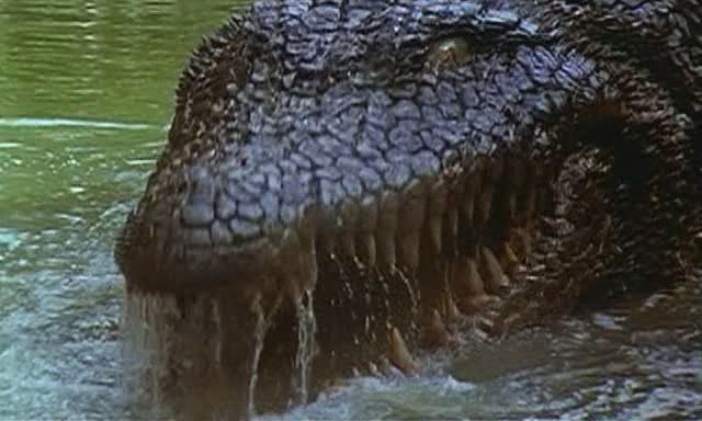 Arena Of The Unwell: crocoshite.