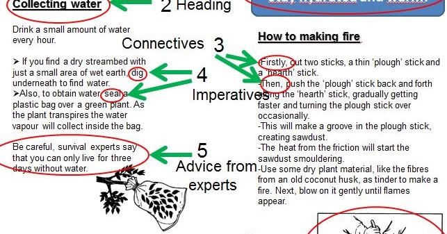 Mr Handley Year 8 English 2015: INFORMATIVE WRITING - Survival guide ...