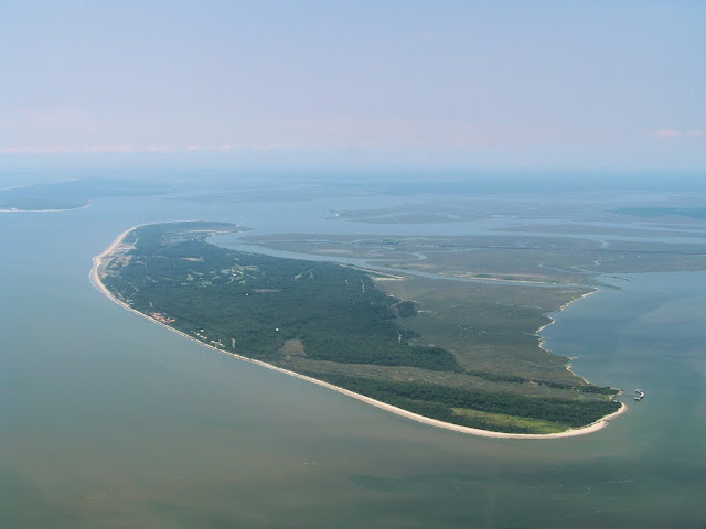 Photographic Logbook: A Bear's Odyssey | Part 2, Jekyll Island