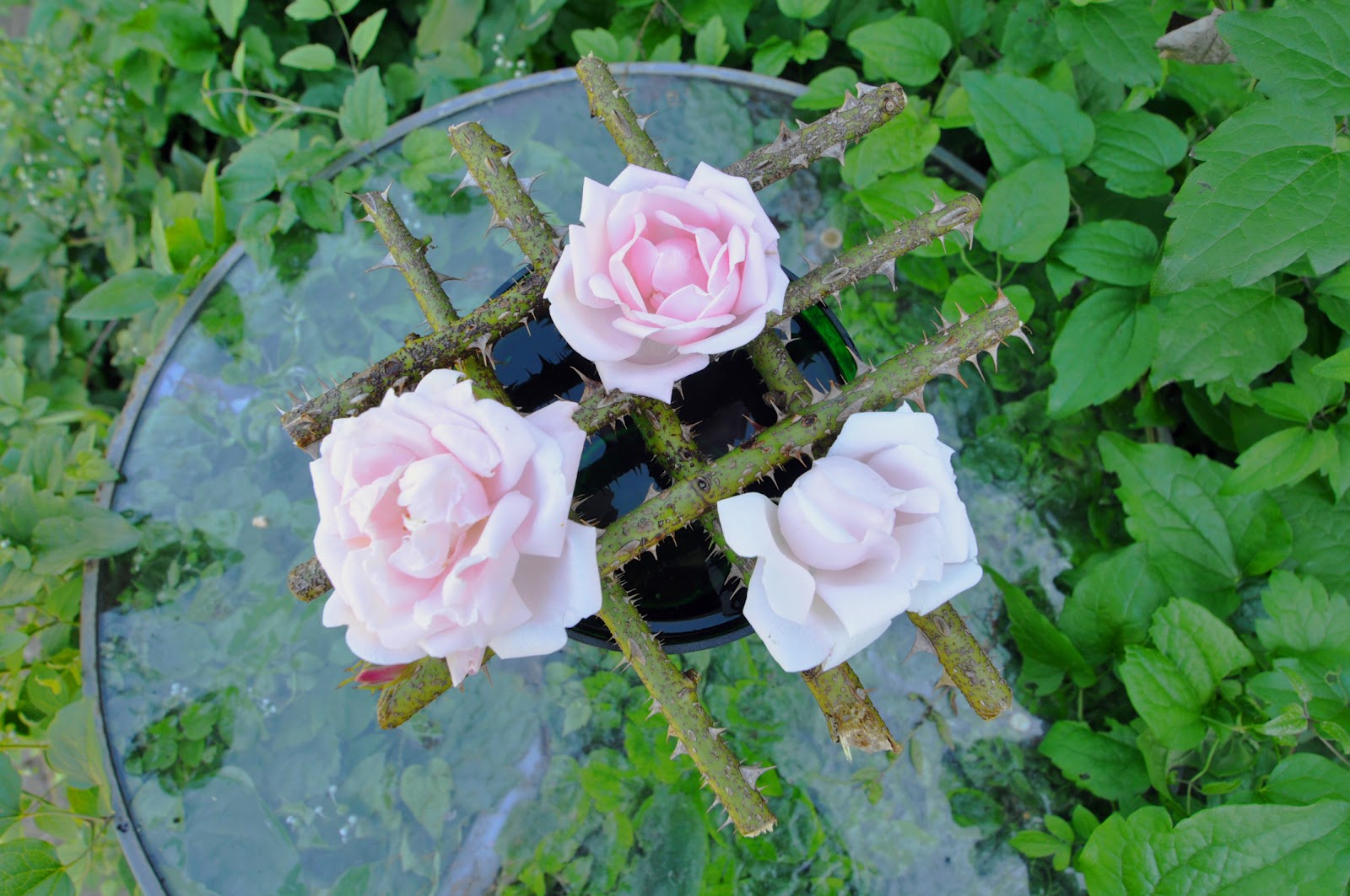 Kreativ Tankeknips: Roser i eget gitter.