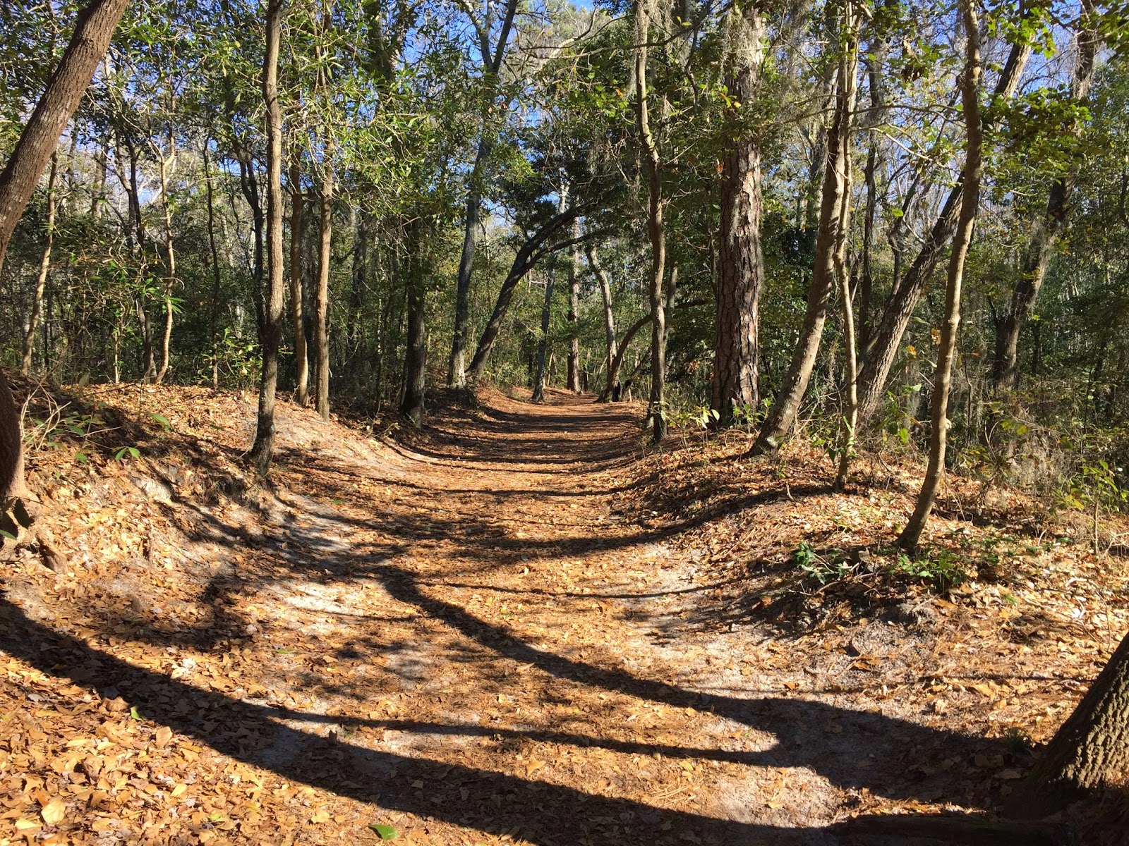 The Roadrunner Chronicles: Hiking the First Landing State Park