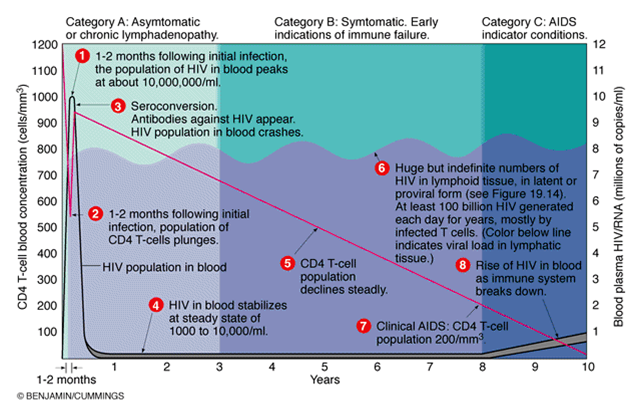 Yayasan Kotex Mandiri: HIV/AIDS