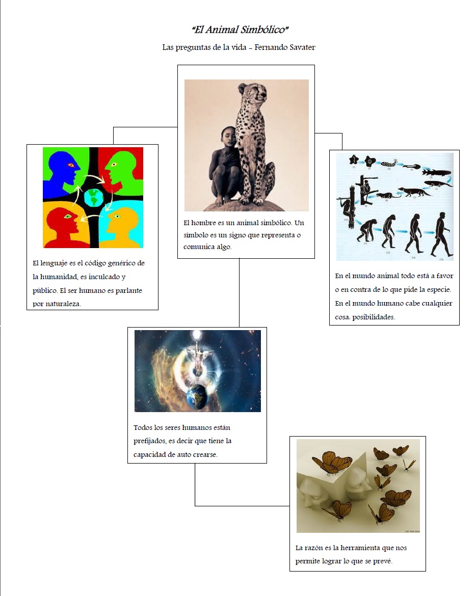 Andrea Sosa: El Animal Simbólico