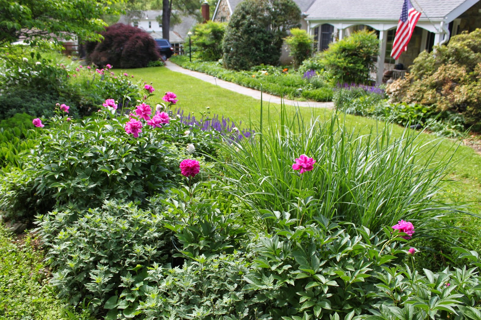 Pat's Addition: 2015