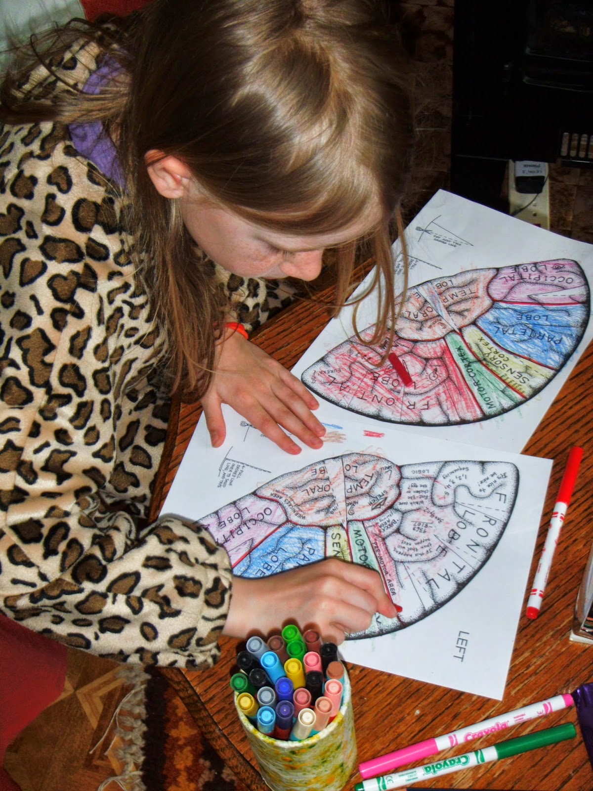 HOME EDUCATION: Ellen McHenry Brain hats and St George's Day dragon puppets