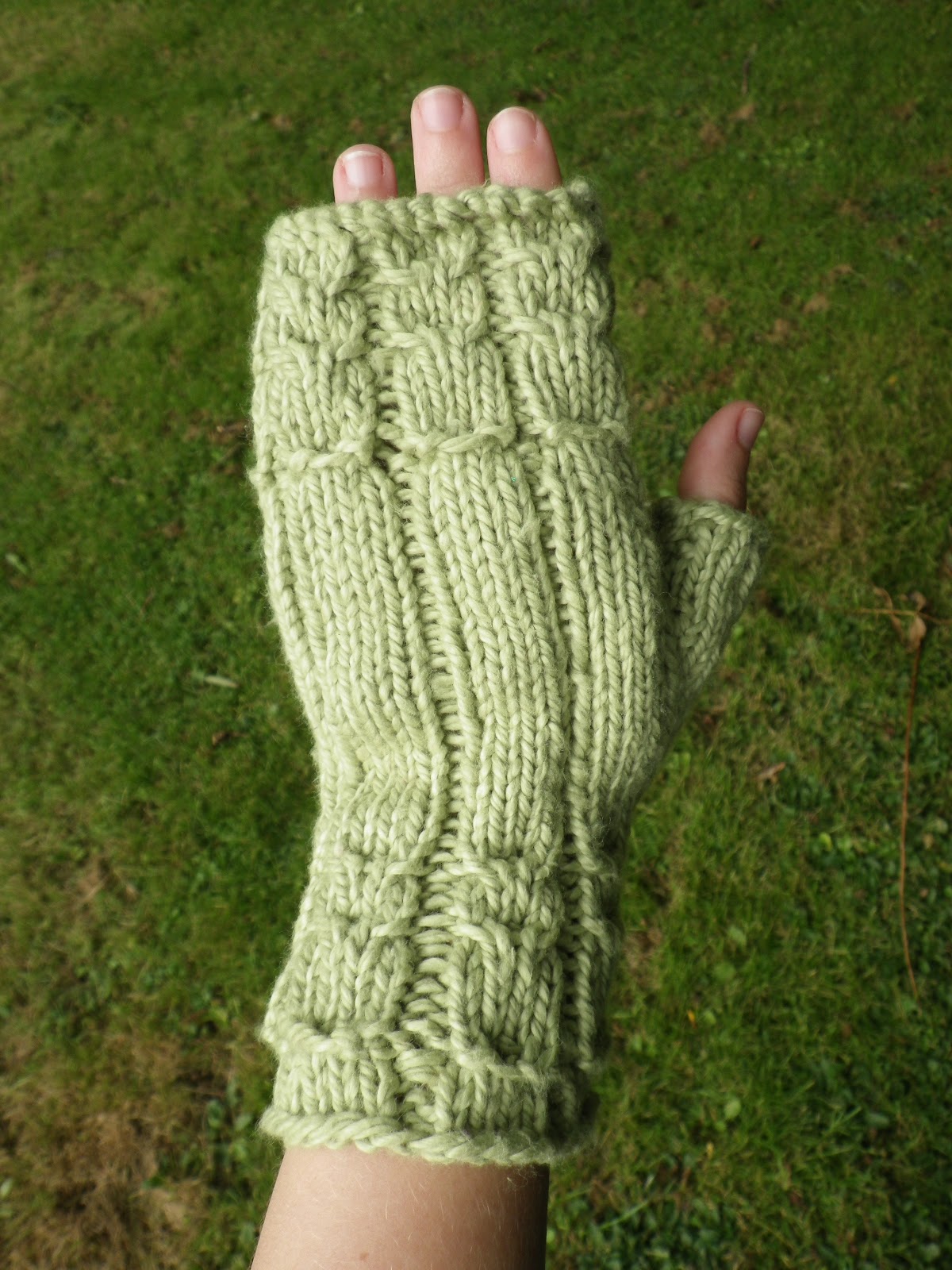 An Apology For an Idler: FO Friday: Moone Boy hat, owl gloves, and a scarf