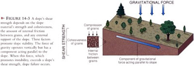 Oceanside, California: Mass Wasting