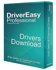 DriverEasy Professional 5.8.1.41398 instal the new version for windows ...