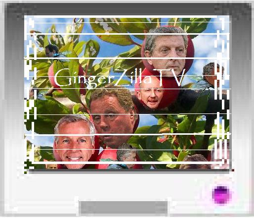 GingerZilla: Tribal Portal
