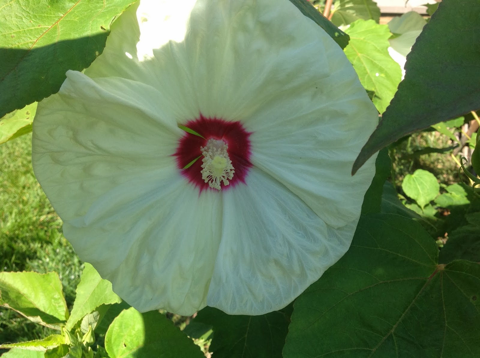 Beth Sexton Realtor in Southwestern Michigan