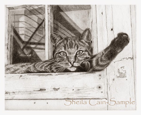 Sheila Cain-Sample: PENCIL