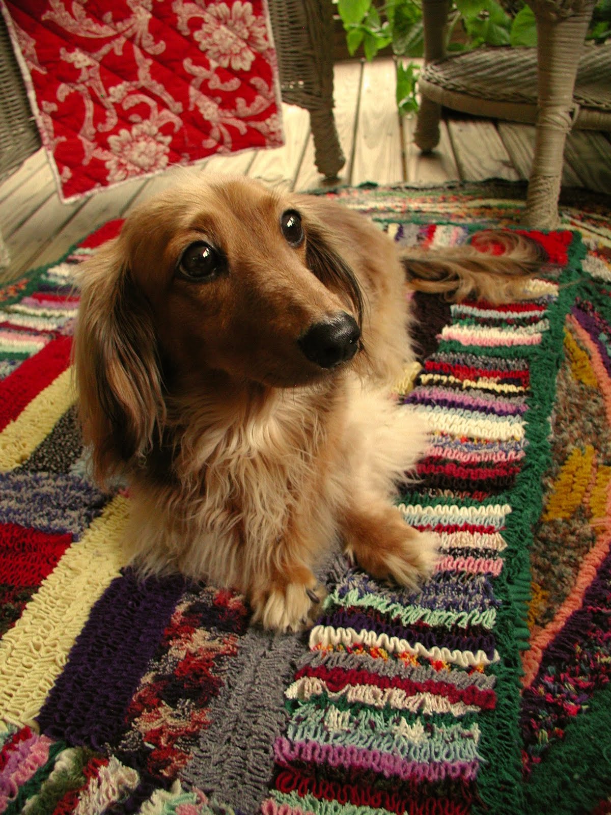 Fiddlesticks - My crochet and knitting ramblings.: Shirret Rug ~ DONE!