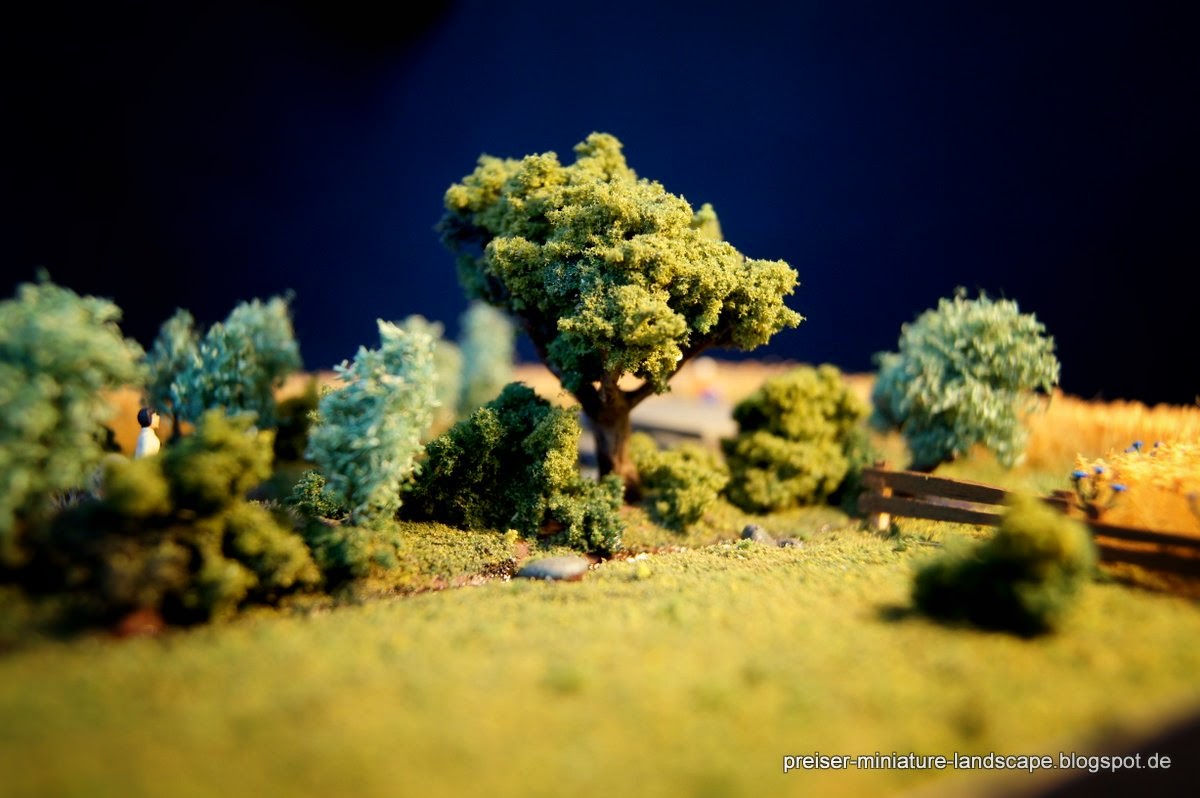Preiser´s Miniature Landscape: Contact
