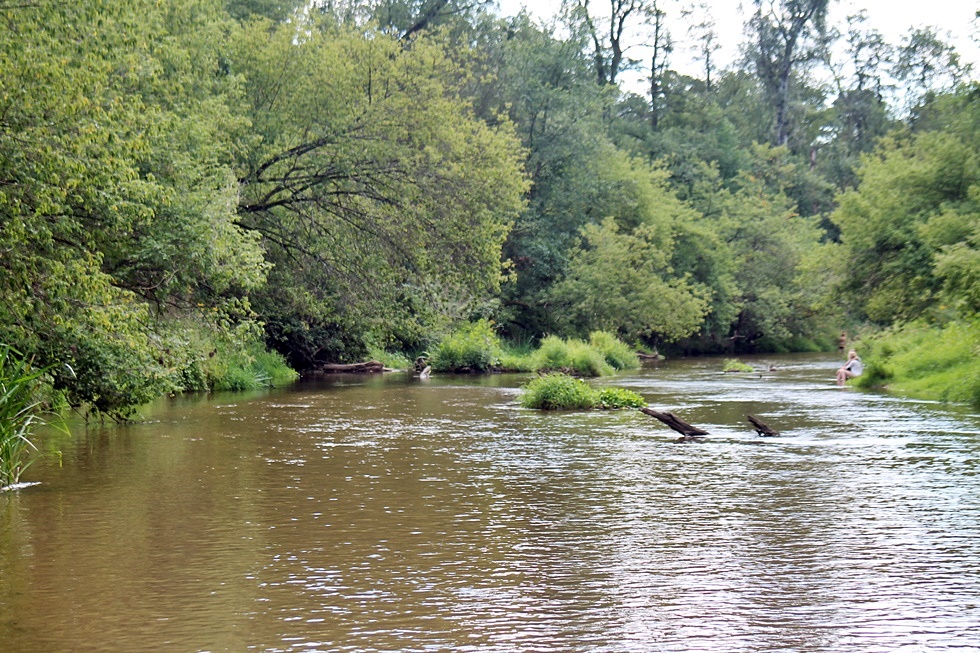 Nad rzeką Świder...