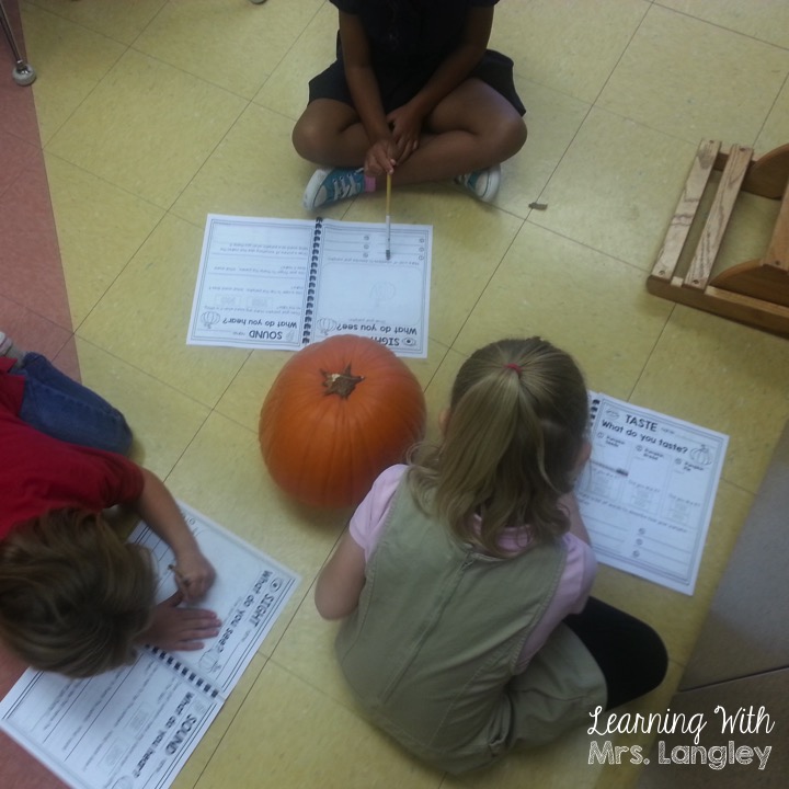 Pumpkin Investigations in Kindergarten | Learning with Mrs. Langley
